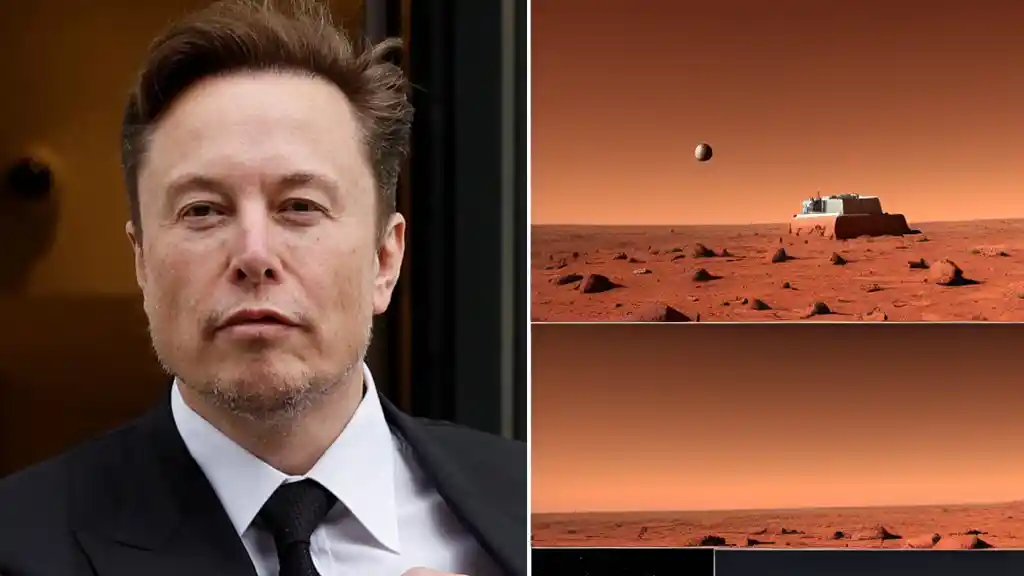 Twitter users and Elon Musk discusses Mars Bedroom - EONMSK News