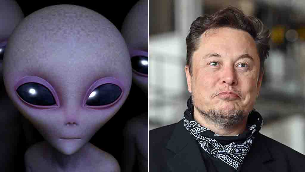 'Seen zero evidence of aliens' Elon Musk on recent UFO claims - EONMSK News